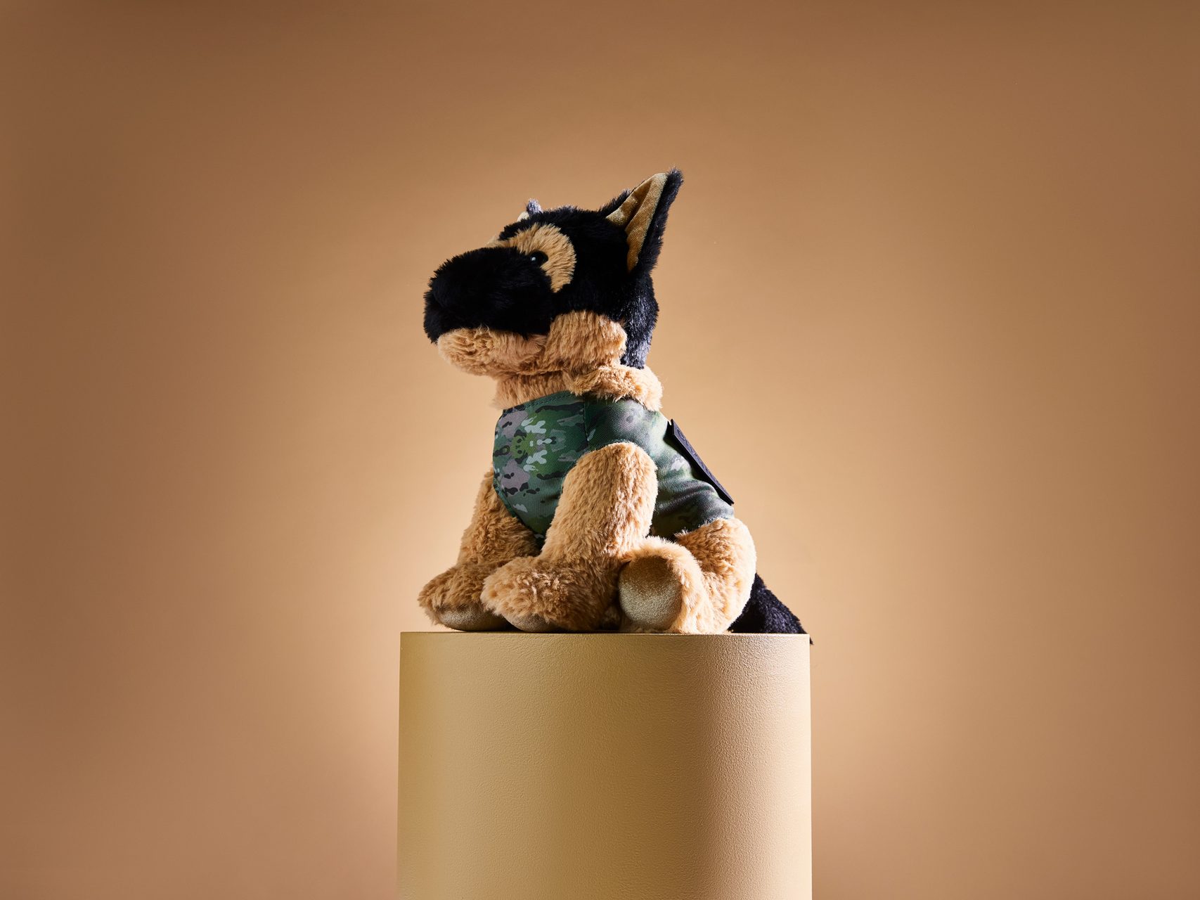 Digger the Dog - ADA