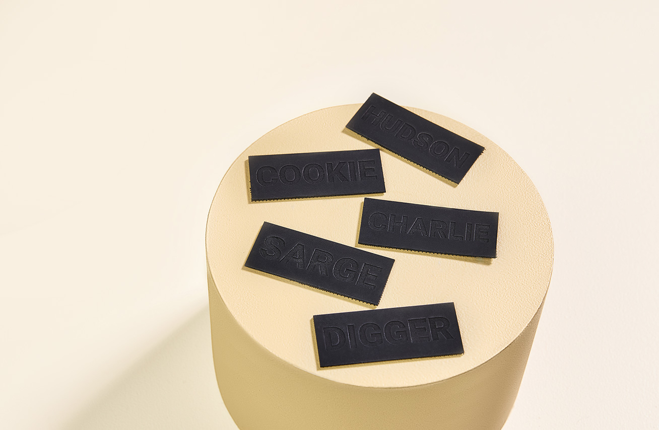 Digger the Dog - ADA