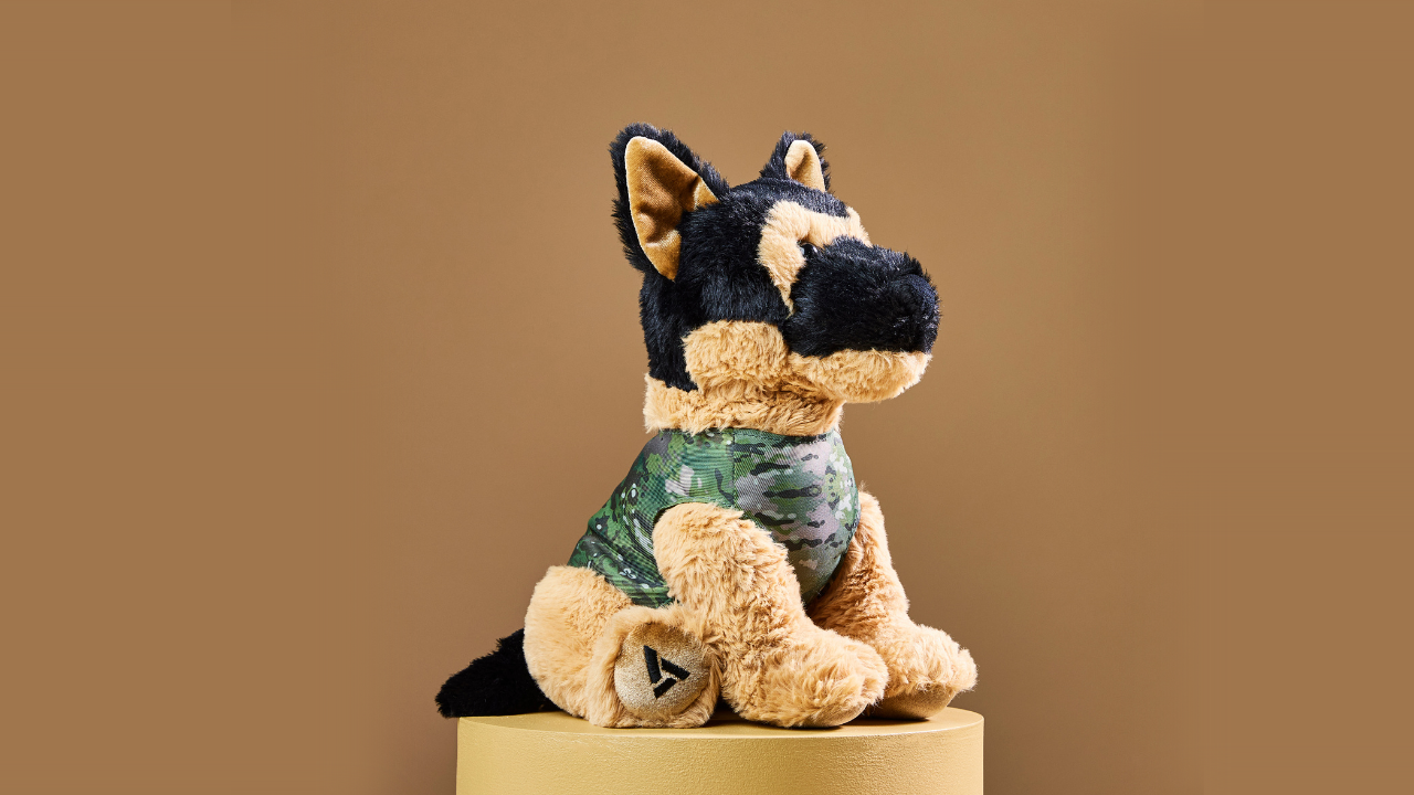 ADA partners with the Australian Kookaburra Kids Foundation for a ...