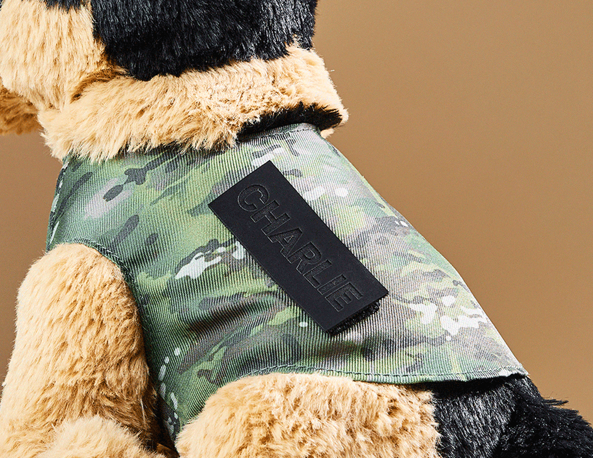 Digger the Dog - ADA